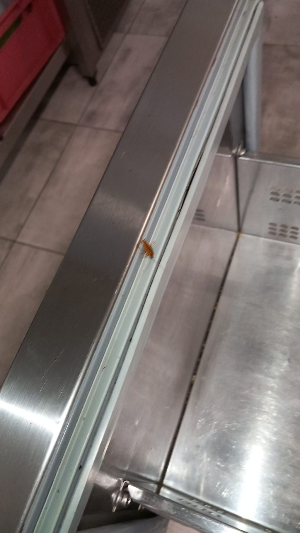 FOTO | Ce a descoperit ANPC la un restaurant popular de pe litoral ...