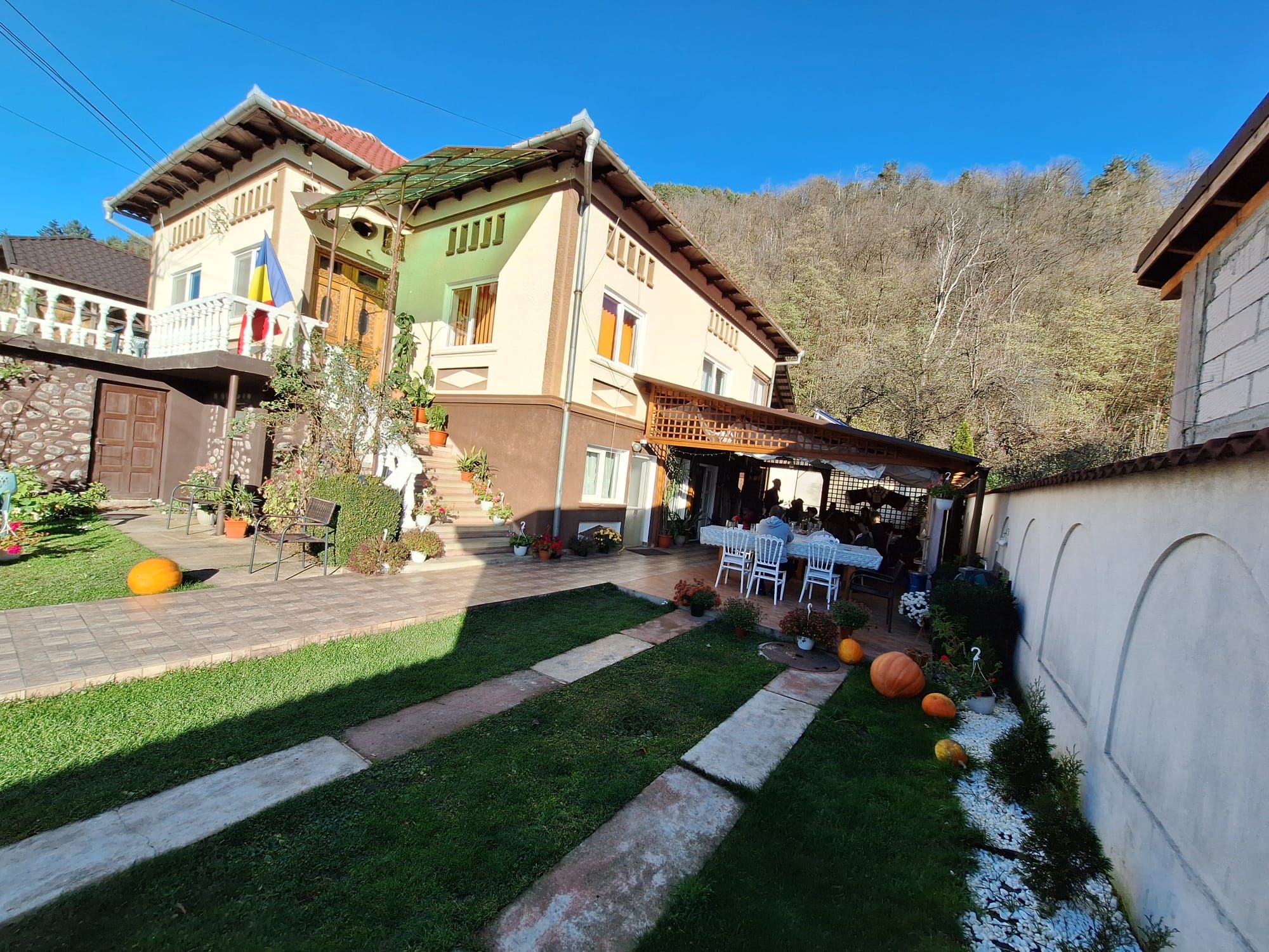 Povești de succes din antreprenoriatul românesc prieten cu natura: Cum ...
